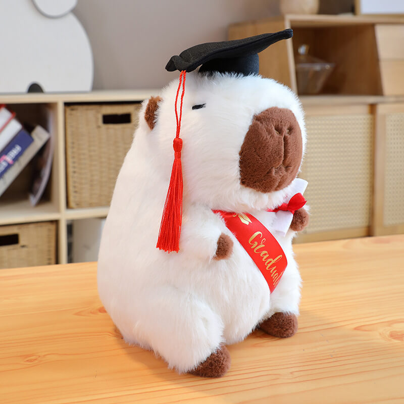 Cute Graduation Capybara Plushies – Gaopeng Toy